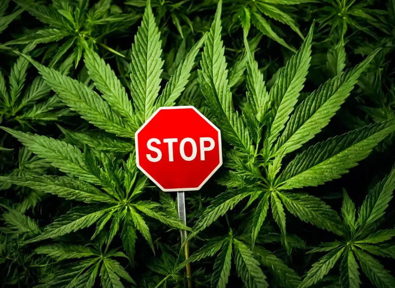 Marijuana Detox: How to Safely and Effectively Cleanse Your Body